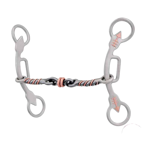 Barrel racing bits store
